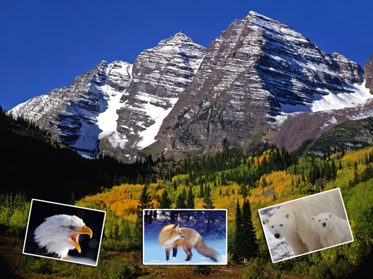 Seattle Digital Collages/Photo Montage/Photo Mosaics on Canvas, Seattle ...