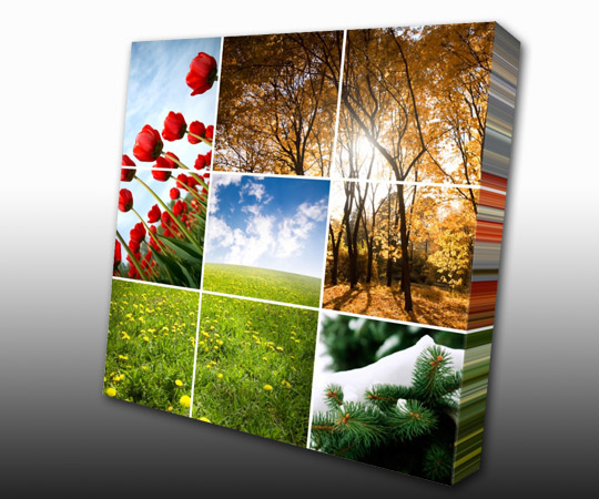 Pricing, Photos On Canvas Prints Seattle - Photos On Canvas Fine art ...